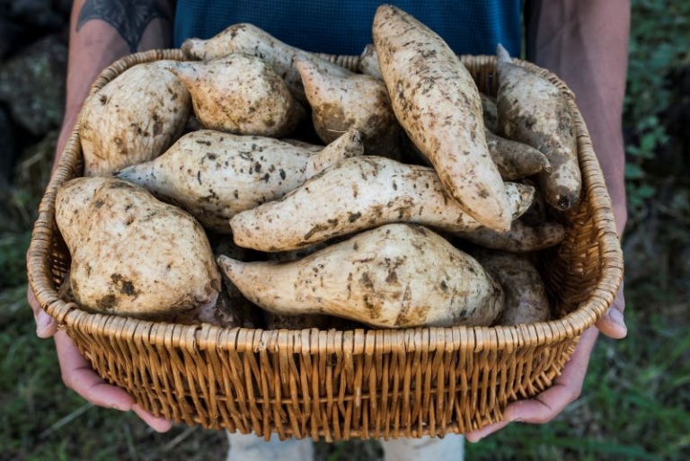 What is the Difference Between Purple Sweet Potato and Ube? – Hawaiʻi ...