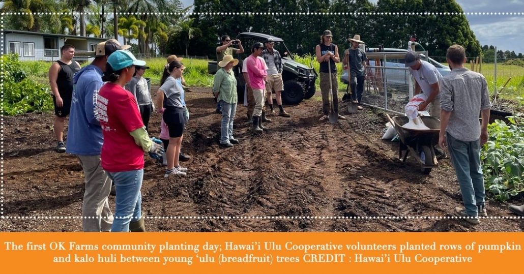 OUR HISTORY – Hawaiʻi ʻUlu Cooperative